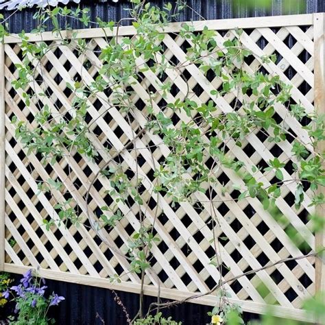 Garden Fence Trellis Homebase Fasci Garden