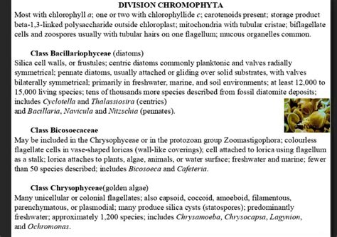 Algae And There Classification Based On Different Features Structure Biological Systems Ppt