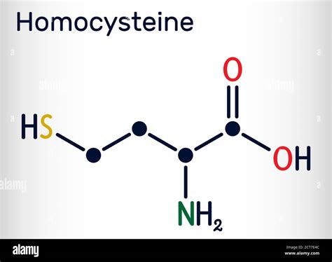 Homocysteine Structure
