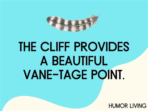 30 Hilarious Feather Puns To Make You Laugh Humor Living