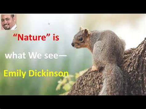Nature Is What We See By Emily Dickinson American Poetry My