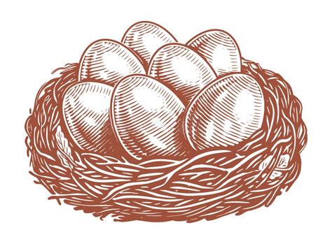 Eggs In The Nest Hand Drawn Sketch Vintage Vector Illustration Stock
