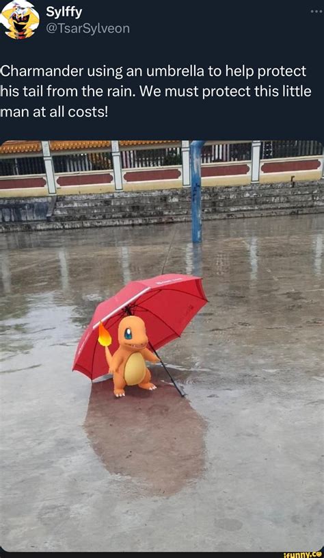 Umbrella Memes Best Collection Of Funny Umbrella Pictures On Ifunny