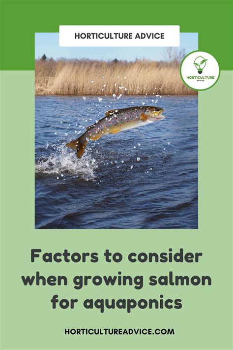 How To Raise Catfish At Carole Carr Blog