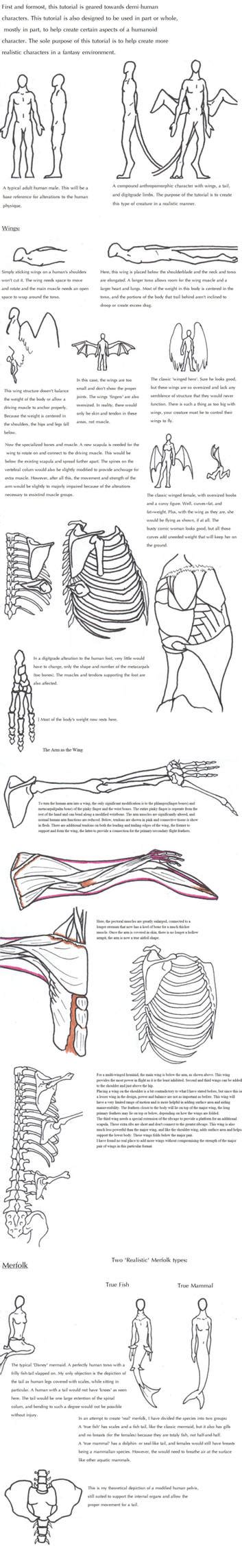 Explore The Best Foreverwing Art Deviantart