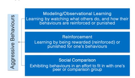 Aggression And Moral Behaviour In Sport Module 7 Flashcards Quizlet