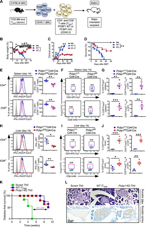 Rna Binding Protein Pcbp1 Is An Intracellular Immune Checkpoint For