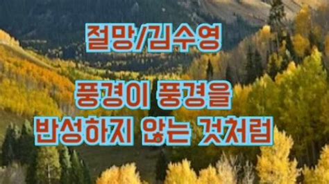 절망 김수영시인 네이버 Tv