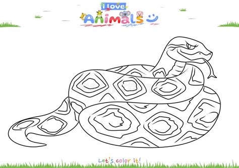 How To Draw Images In Python