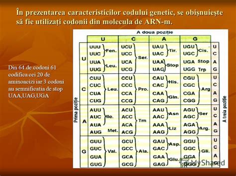 Презентация на тему Gena Gena Reprezinta Un Ansamblu Liniar De