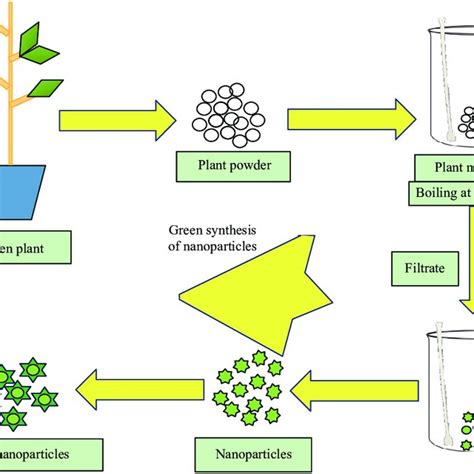 Process Of Green Synthesis For Nanoparticle Generation Download