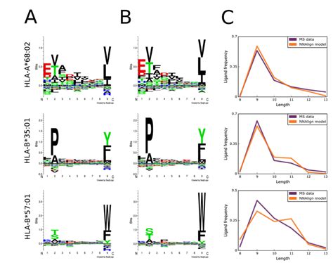 Generating Prediction Models From Ms Ligand Data A Sequence Motifs Of