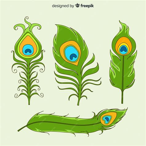 Modern Hand Drawn Peacock Feather Collection Premium Vector