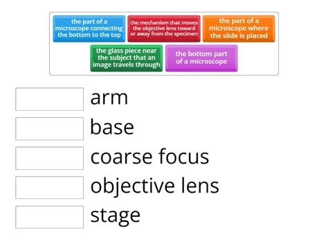 The Microscope Matching Match Up