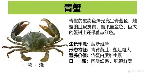 12种常见螃蟹种类，及其美味吃法蟹类什么值得买