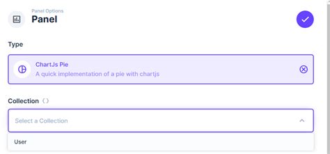 Adding Options For A Custom Panel In Directus