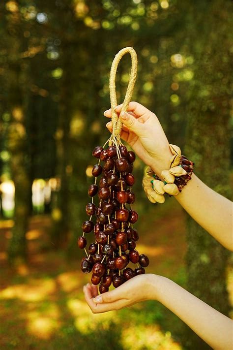 Seed Shaker Handmade Pala Cardamom Seed Shell Hand Bell Natural Ra