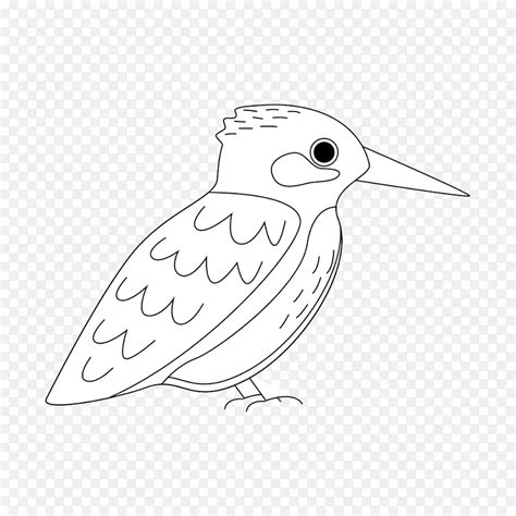 简笔画栖息的鸟儿png图片素材下载图片编号yjkmweeq 免抠素材网