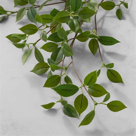 Faux Banyan Leaf Stem Williams Sonoma