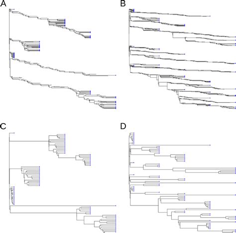 Examples Of How Repeated Sampling With Different Contact Tracing Levels