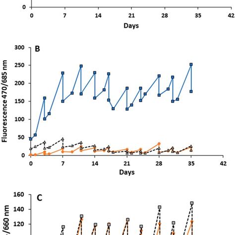 Serial Dilution Experiments At 0 5 Nmol L⁻¹ Fe A Optical Densities