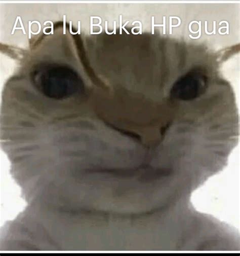Apa Lu Buka Hp Gua