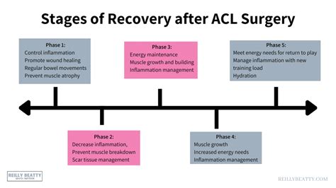 How Nutrition Helps Your Acl Surgery Recovery Reilly Beatty Sports Nutrition