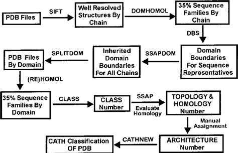Flow Chart Of The Procedures Used In Generating The Cath Database Of Download Scientific Flow Chart Of The Procedures Used In Generating The Cath Database Of Download Scientific
