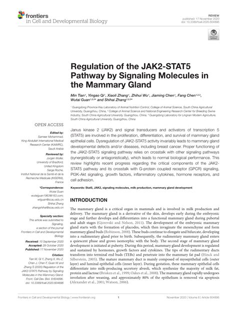 Pdf Regulation Of The Jak2 Stat5 Pathway By Signaling Molecules In
