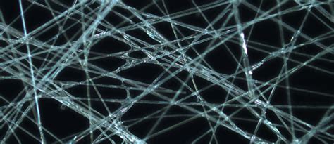 James Cropper Accelerates Plans For Sustainable Growth Advanced Materials