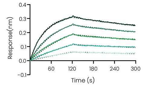 Anti Chikv E2 Glycoprotein Antibody 40440 Mm20 Sino Biological