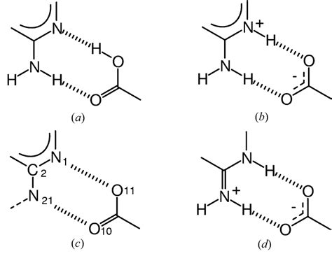 Chemical Diagrams Showing The 2 Aminoheterocycliccarboxylic Acid Dimer