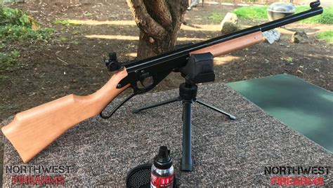 Daisy499firstpics001 Northwest Firearms