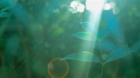 Sunlight Sun Sunshine Light Effect Beam And Shadow Powerpoint Background For Free Download