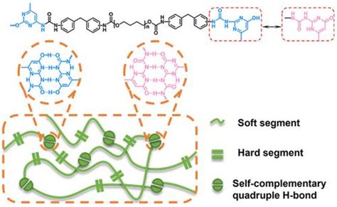 Highly Adhesive And Impact Strengthening Supramolecular Polyurethane