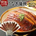 【ふるさと納税】鰻天屋の九州産 うなぎ 蒲焼 10尾 セット（1尾約160～189g） 合計約1600g以上 特製たれ・山椒付き 鰻 ウナギ