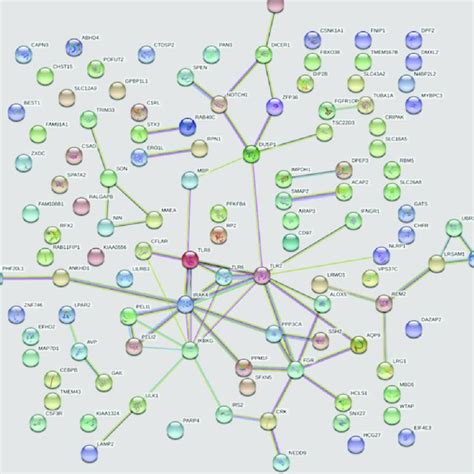 Gene Interaction Map Produced Through The String Database Of The 128