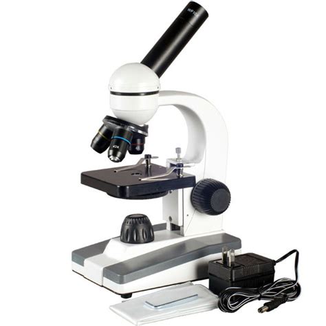 Laboratory Compound Microscope At ₹ 12000piece Compound Microscope
