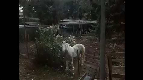 Fmd 0144 02 Xnxx Com