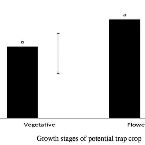 No Choice Laboratory Tests Mean Survival Of Nysius Huttoni Adults Download Scientific