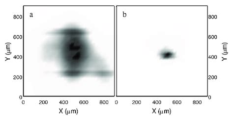 4 Beam Profiles At The Sample Position Panel A The Pump Beam Download Scientific Diagram
