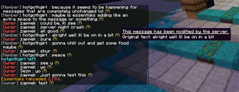 Made A Report Bypass And Chat Preview Bypass Plugin Radmincraft