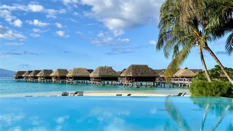 Top Things To Do In Moorea Touristsecrets