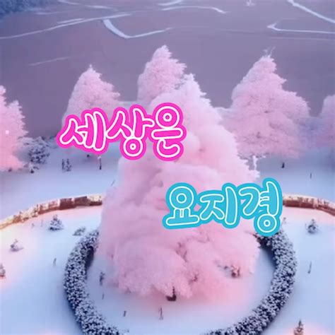 세상은 요지경 Youtube