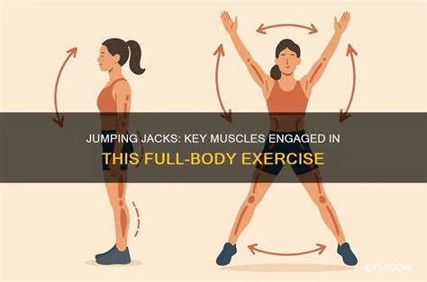 Jumping Jacks Key Muscles Engaged In This Full Body Exercise Cyvigor