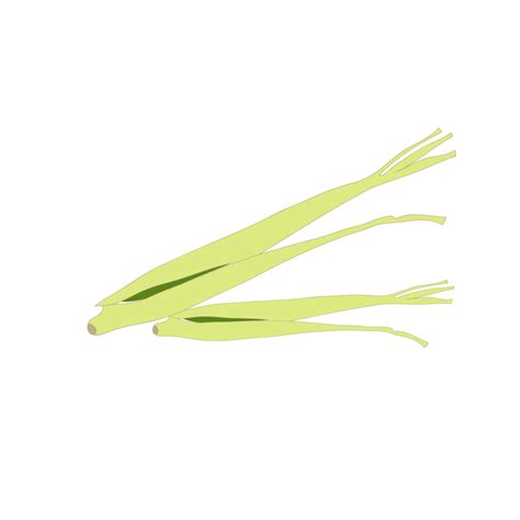 Green Lemon Grass 9827029 Png