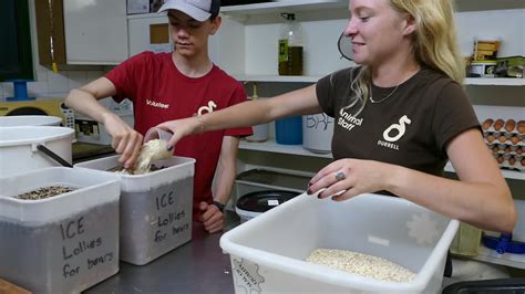 Durrell Wildlife Conservation Trust On Linkedin Last Summer Actor And Durrell Ambassador Milo