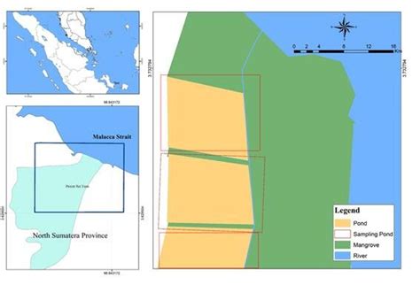 Sampling Sites Showing Three Abandoned Ponds In Percut Sei Tuan Download Scientific Diagram