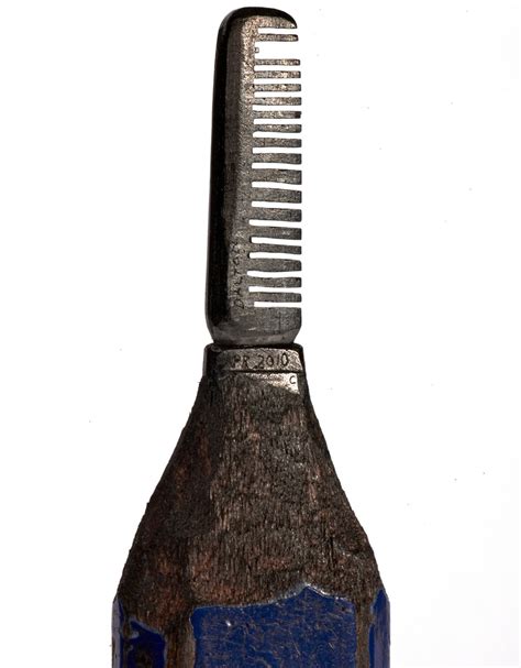 Pencil Sculptures By Dalton Ghetti