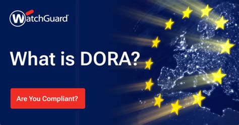 Understanding Dora Watchguard Blog